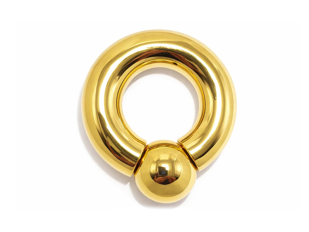 Prince Albert Rings and Piercings – Pierced and Lovely
